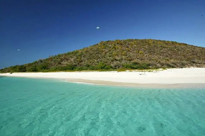 buck island reef national monument