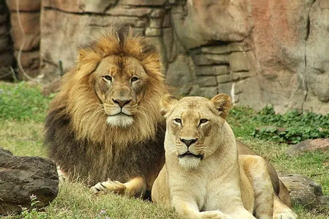 caldwell zoo