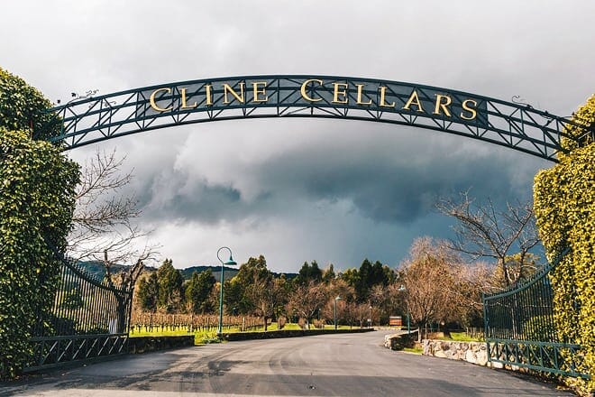 cline cellars