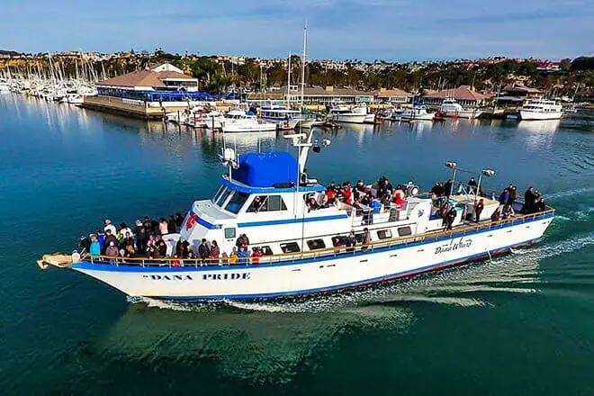 dana wharf