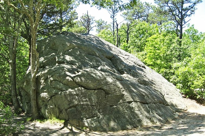roca doane