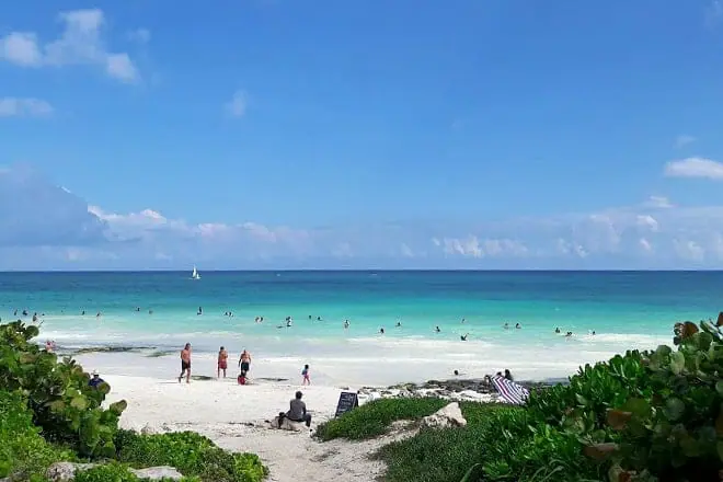 las palmas
