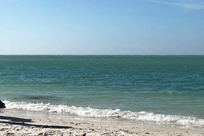 shell beach