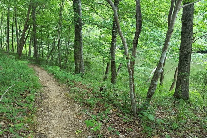 swayback trails
