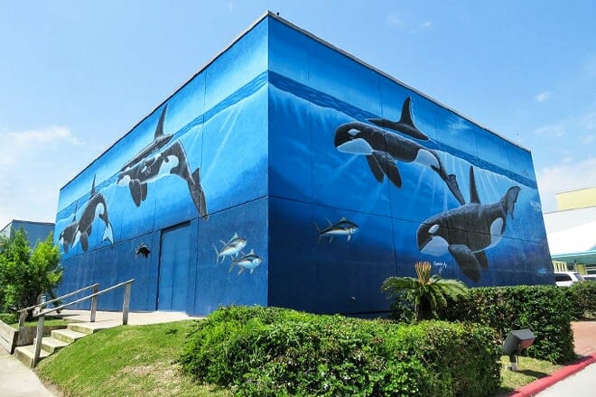 wyland’s whaling wall