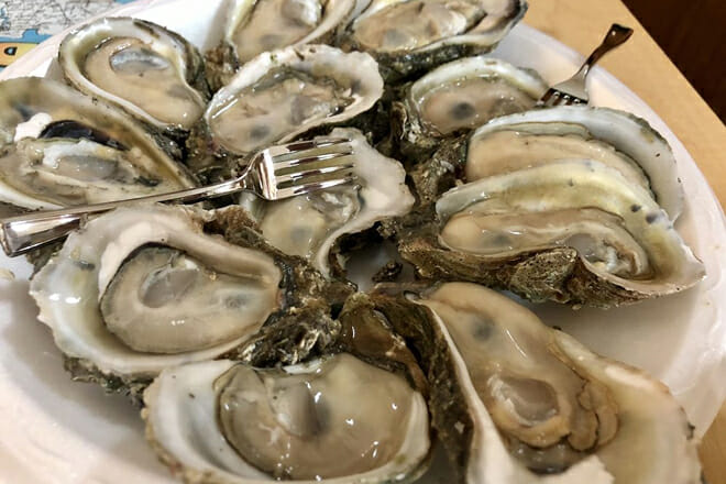 shell oyster bar