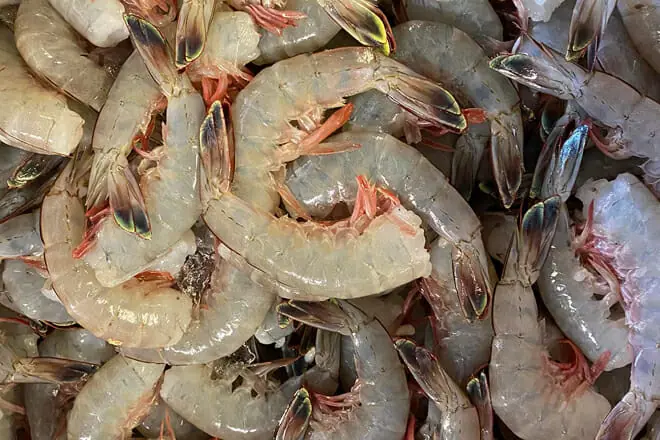 whitehouse seafood