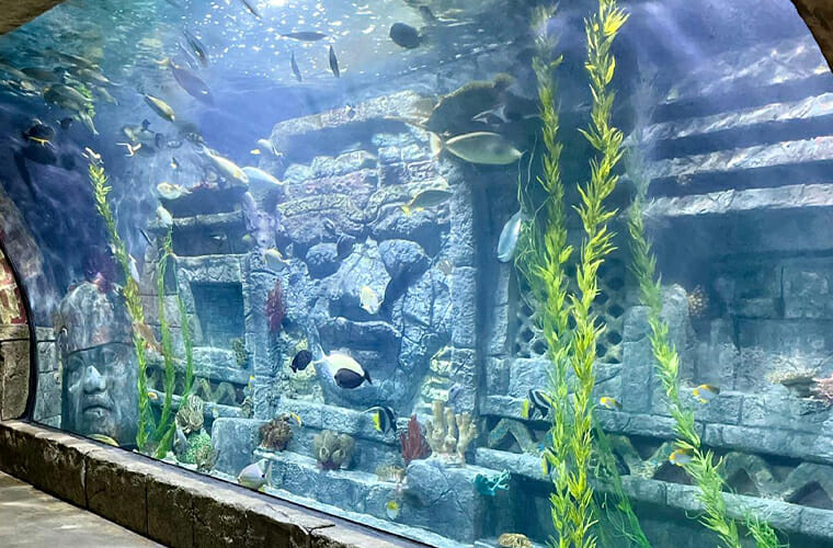 downtown aquarium