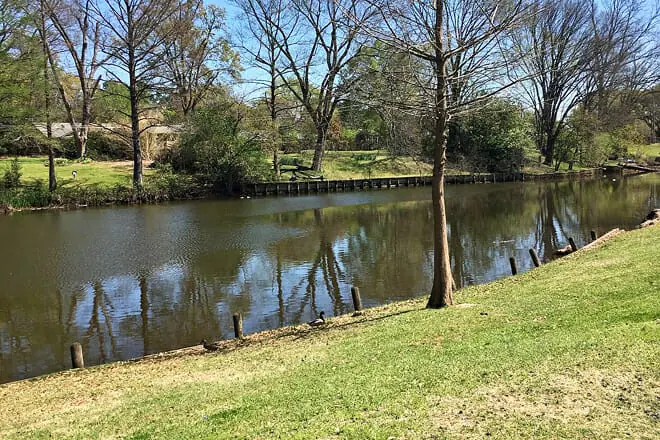 Duck Pond