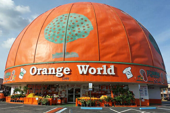 Eli's Orange World