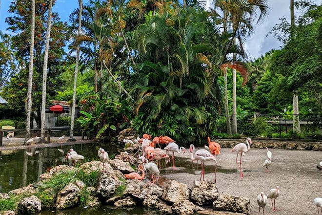 Flamingo Gardens — Davie