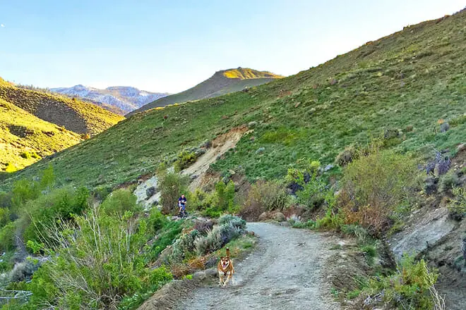 Hunter Creek Trail
