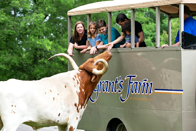 Grant’s Farm