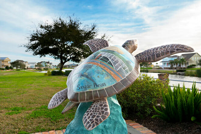 Turtles About Town — Multiple Locations