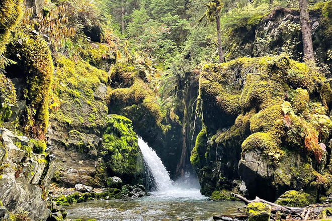 Virgin Creek Falls Trail