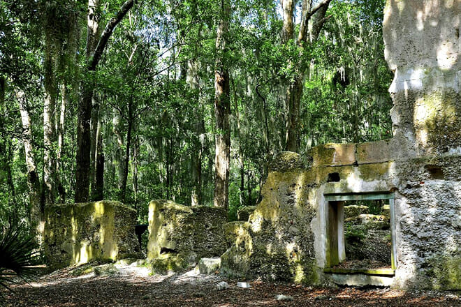 baynard plantation ruins
