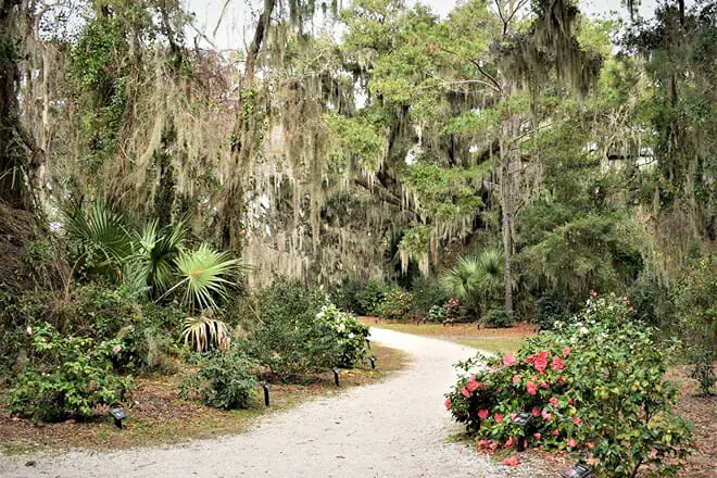 coastal discovery museum