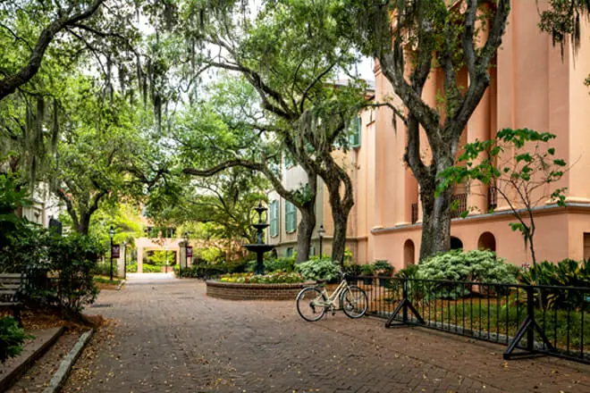 College of Charleston