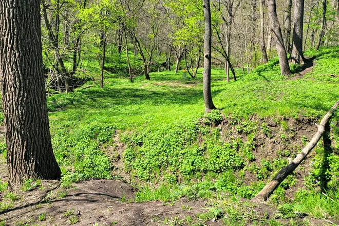 Hummel Park