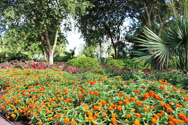 Mercer Botanic Gardens