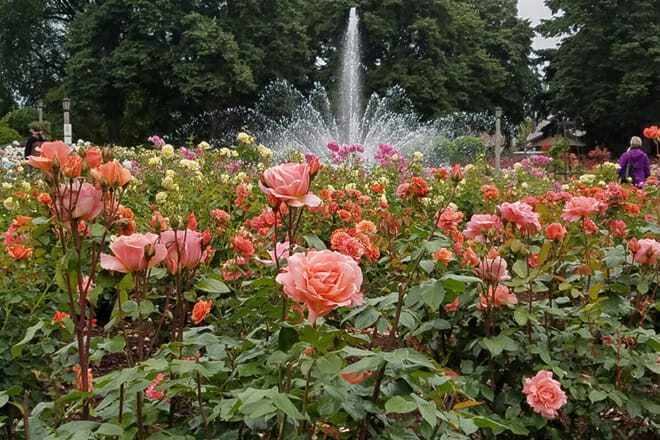 Peninsula Park & Rose Garden