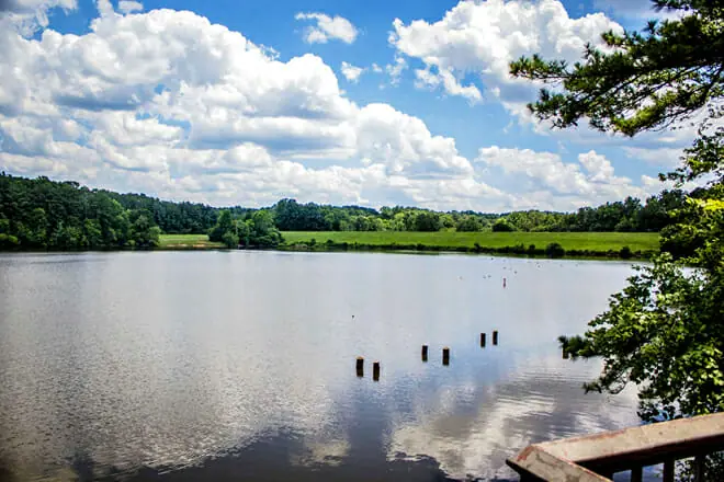 Shelley Lake Park