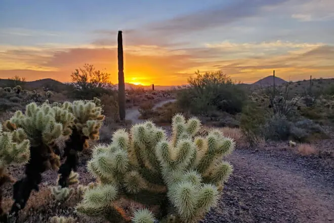 Sonoran Preserve