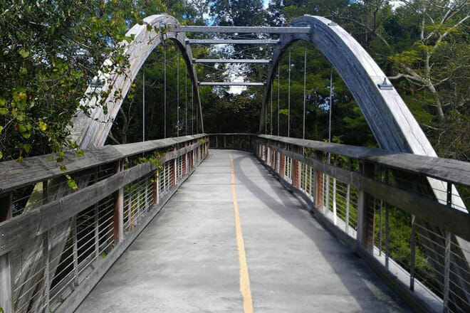 The Upper Tampa Bay Trail