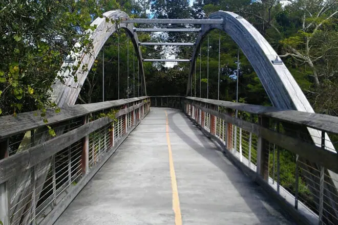 The Upper Tampa Bay Trail