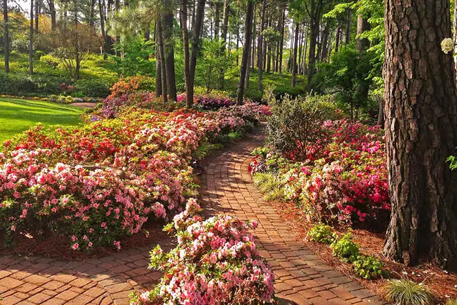 WRAL Azalea Gardens