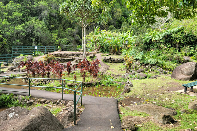Iao Valley State Park and Botanical Gardens