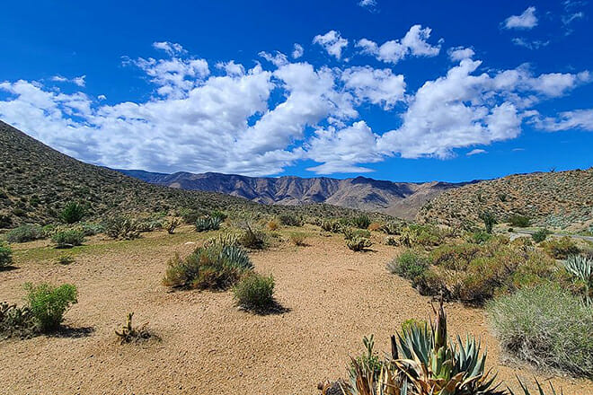 Anza Borrego Desert State Park