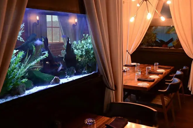 Blue Water Grille