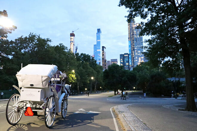 Central Park, Rockefeller, & Times Square Horse Carriage Rides