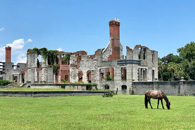 Cumberland Island National Seashore