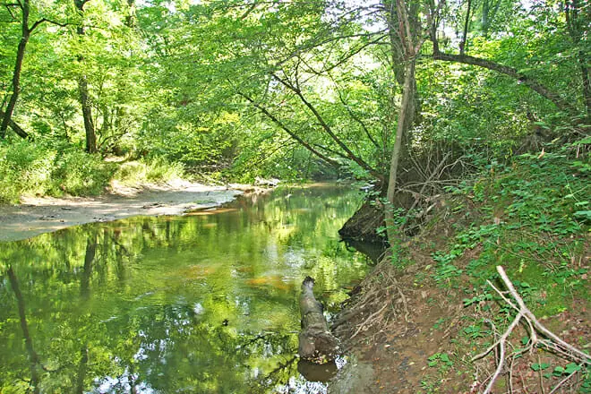 Cumberland State Forest