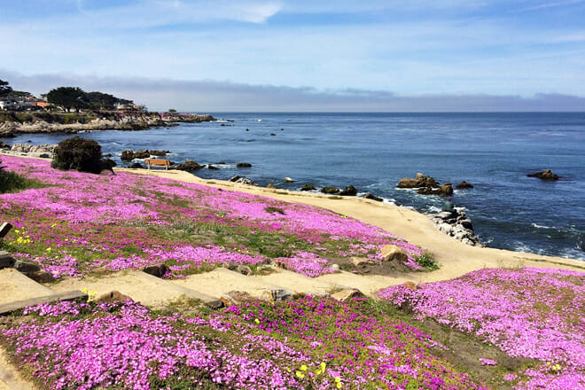 Monterey Peninsula Recreational Trail