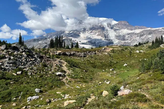 Mt. Rainier National Park