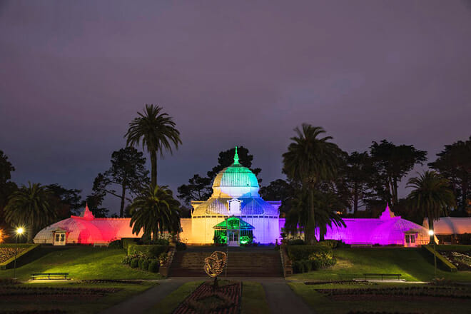Night Bloom at the Conservatory of Flowers