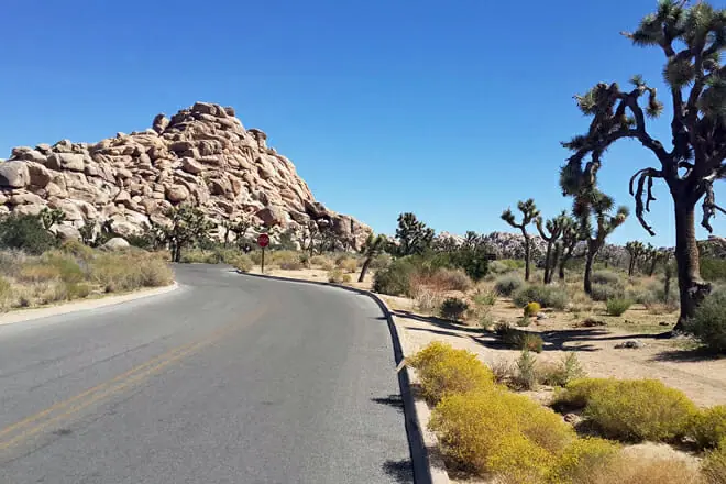 Route 66