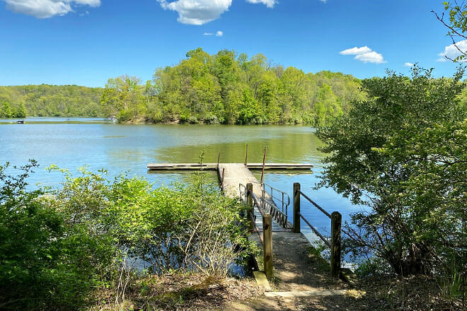 Salt Fork State Park in Lore City