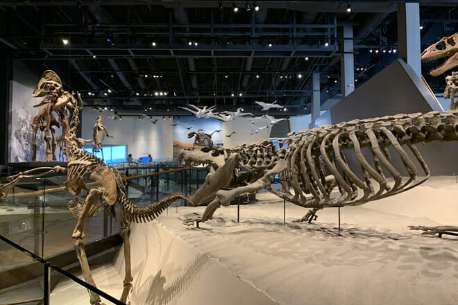 The Natural History Museum of Utah