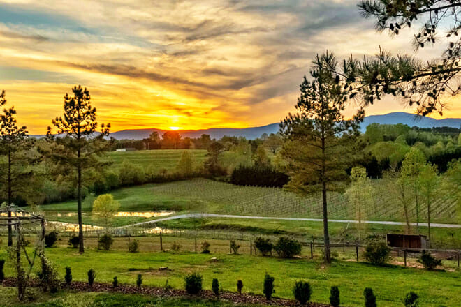Tryon Foothills Wineries