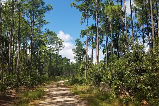 Twelve Mile Swamp Conservation Area