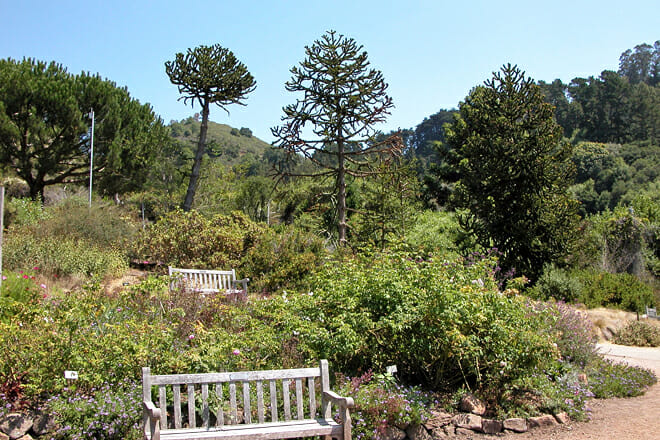 UC Botanical Garden at Berkeley