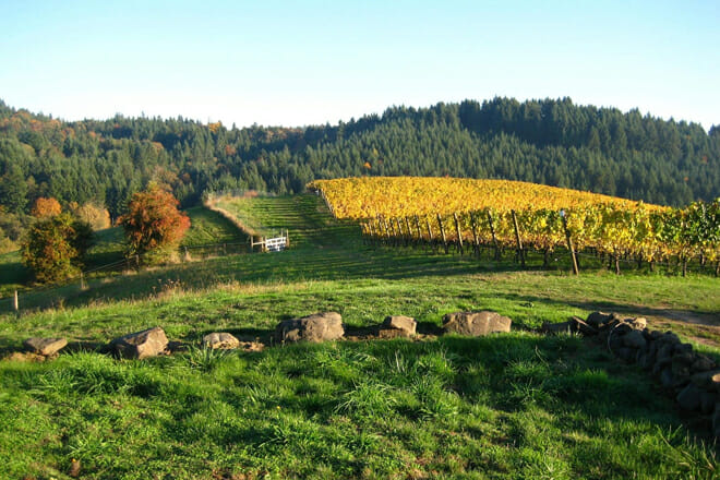 Willamette Valley Wine Country