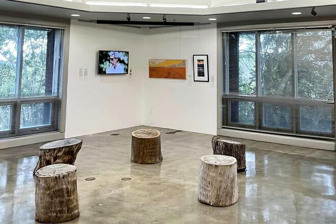AIRIE Nest Gallery