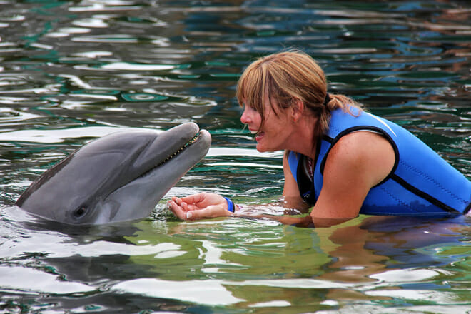 Dolphins Plus Marine Mammal Responder