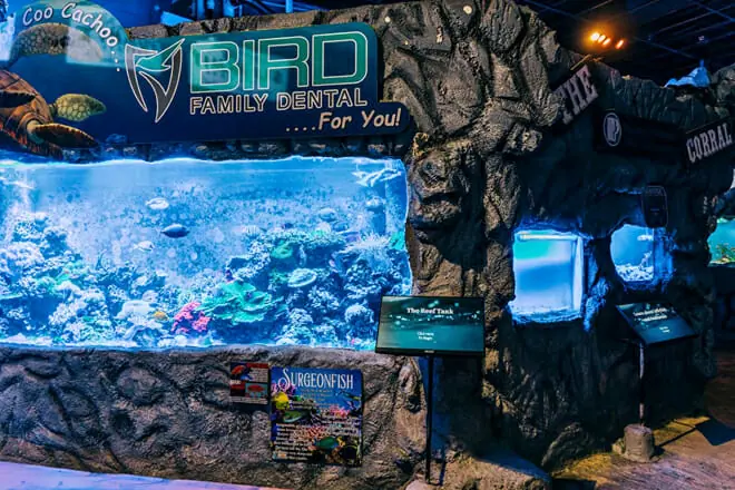 East Idaho Aquarium