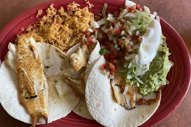 El Loro